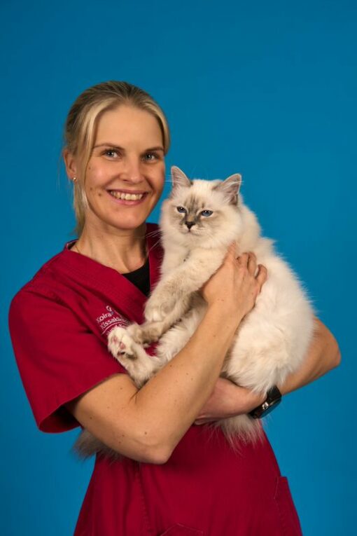 Henkilökunta arkisto - Koirakissaklinikka